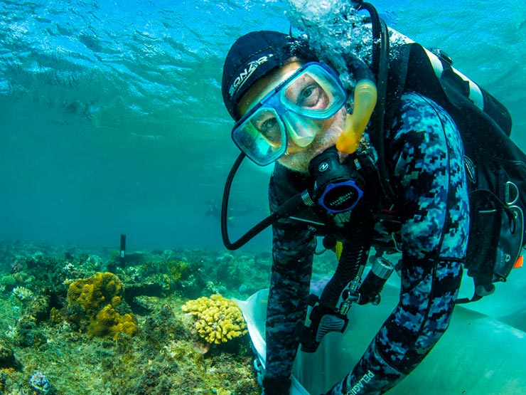 News and Media - Reef Restoration and Adaptation Program