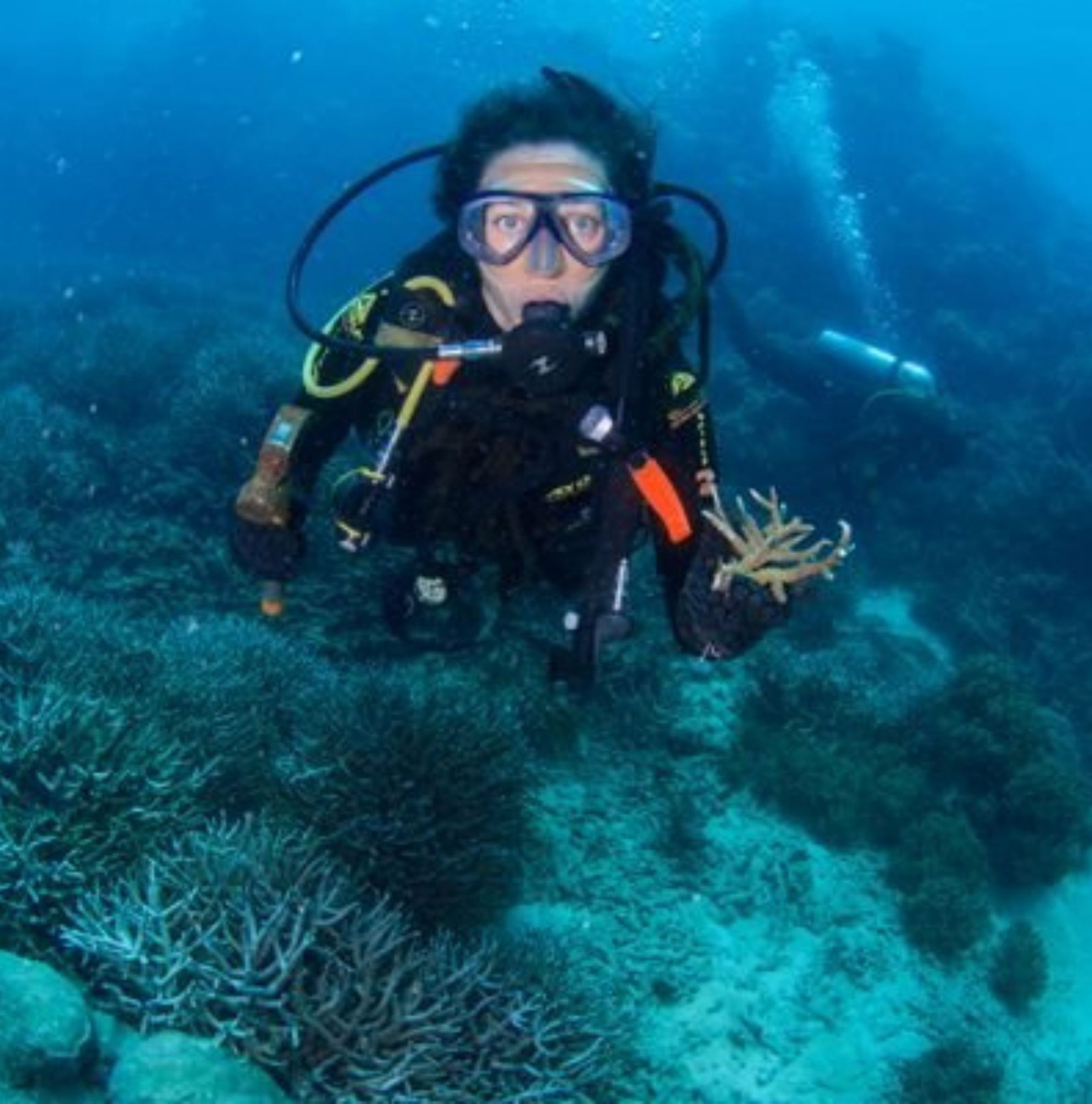 Enhanced Corals and Treatments - Reef Restoration and Adaptation Program