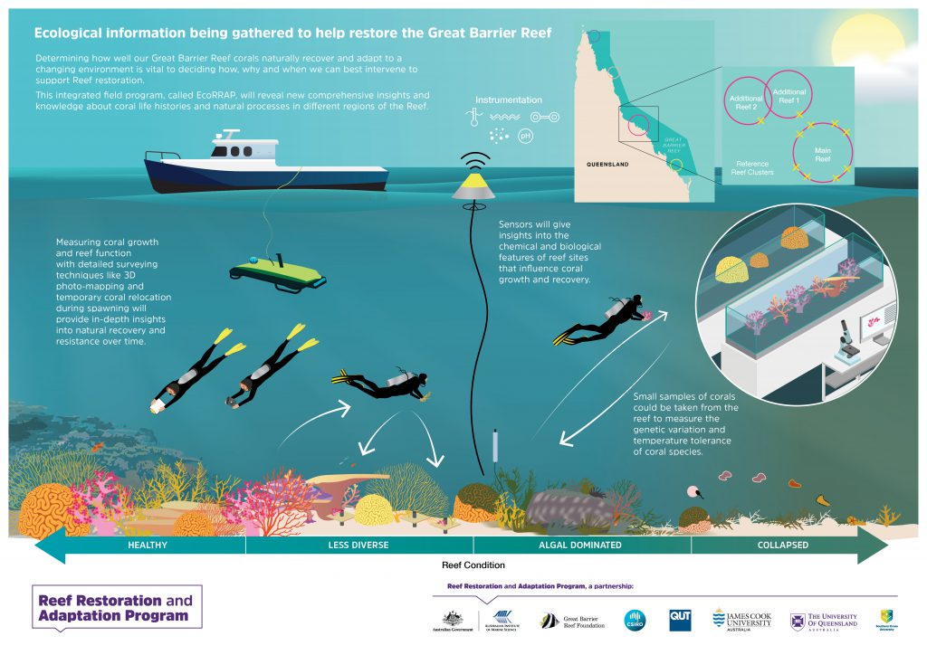 EcoRRAP (ecological intelligence for reef restoration) - Reef ...