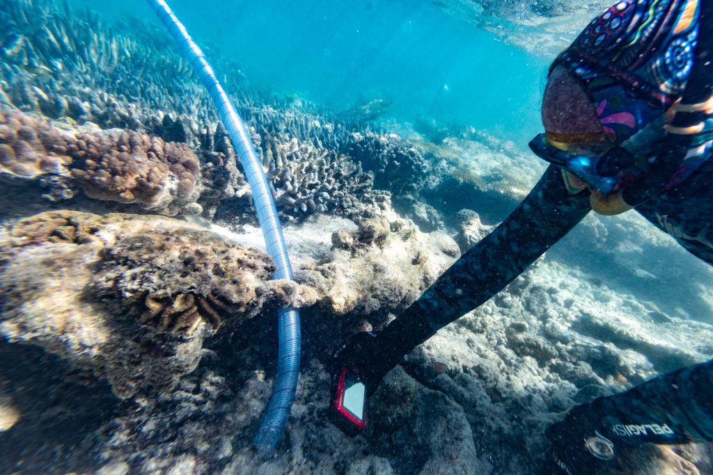 Moving Corals - Reef Restoration and Adaptation Program