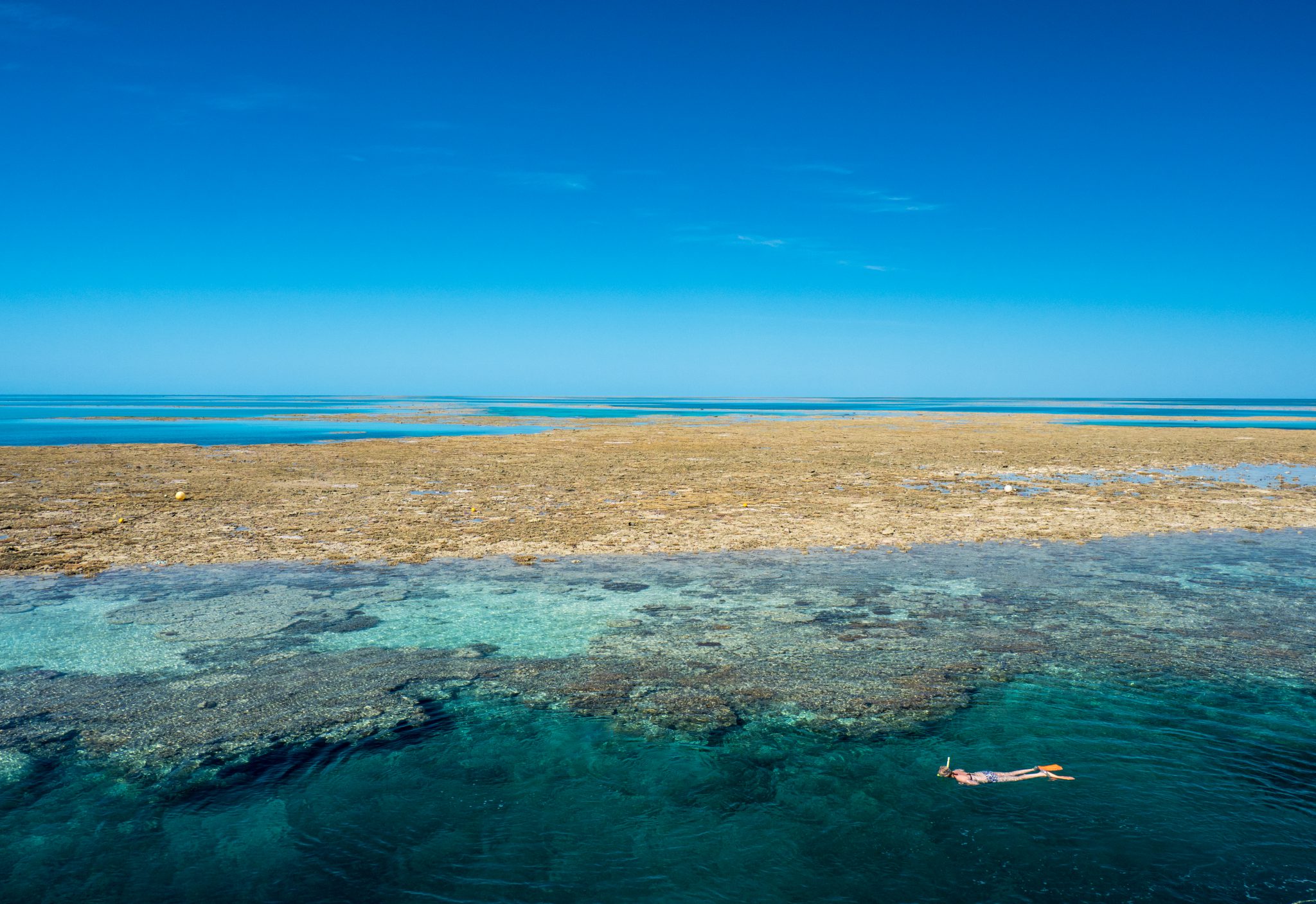 Stakeholder and Traditional Owner Engagement - Reef Restoration and ...
