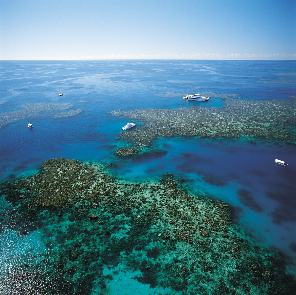 Community Panels - Reef Restoration and Adaptation Program
