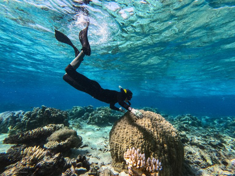 Intervention Risk Review Group - Reef Restoration and Adaptation Program