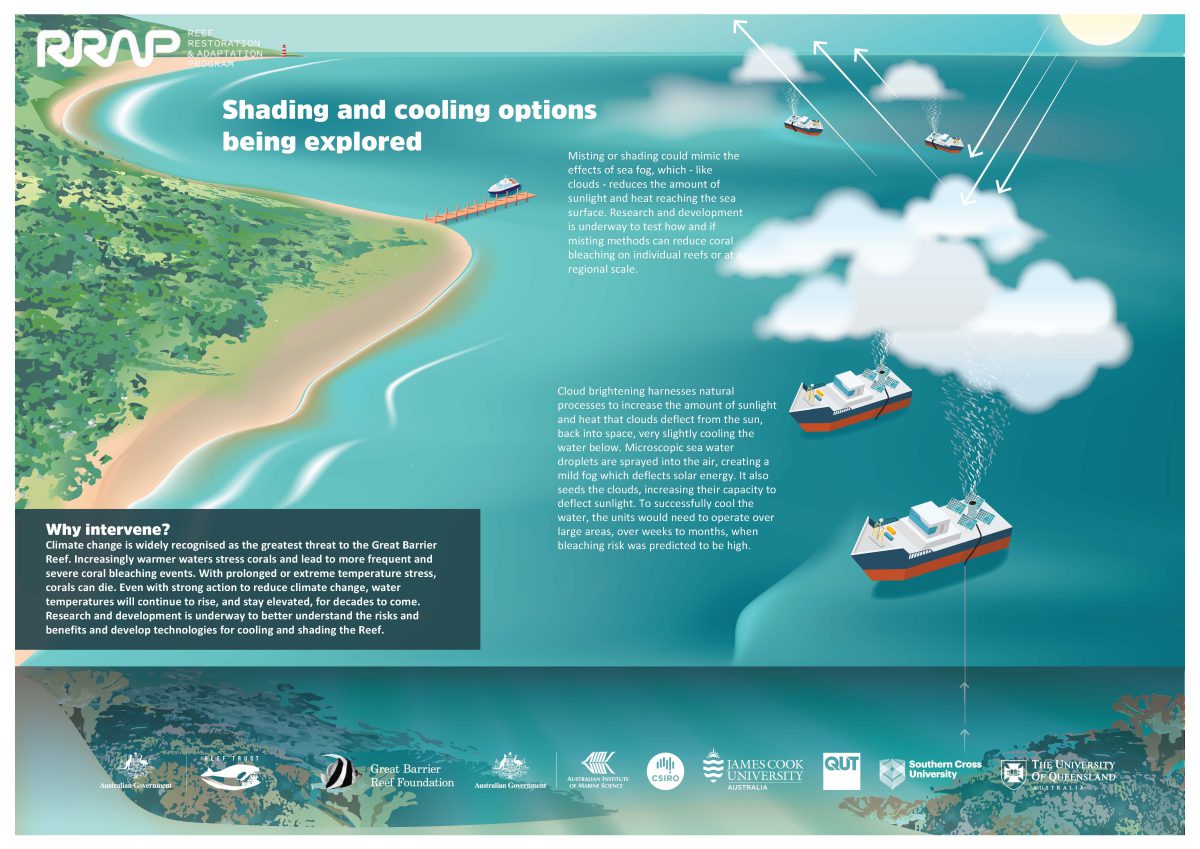Infographics and Diagrams Archives - Reef Restoration and Adaptation ...