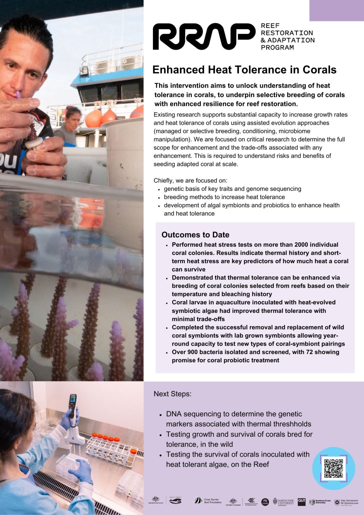 Fact Sheets Archives - Reef Restoration and Adaptation Program