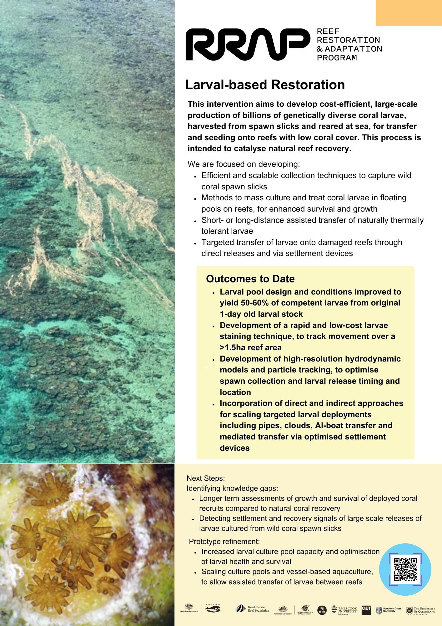 Fact Sheets Archives - Reef Restoration and Adaptation Program