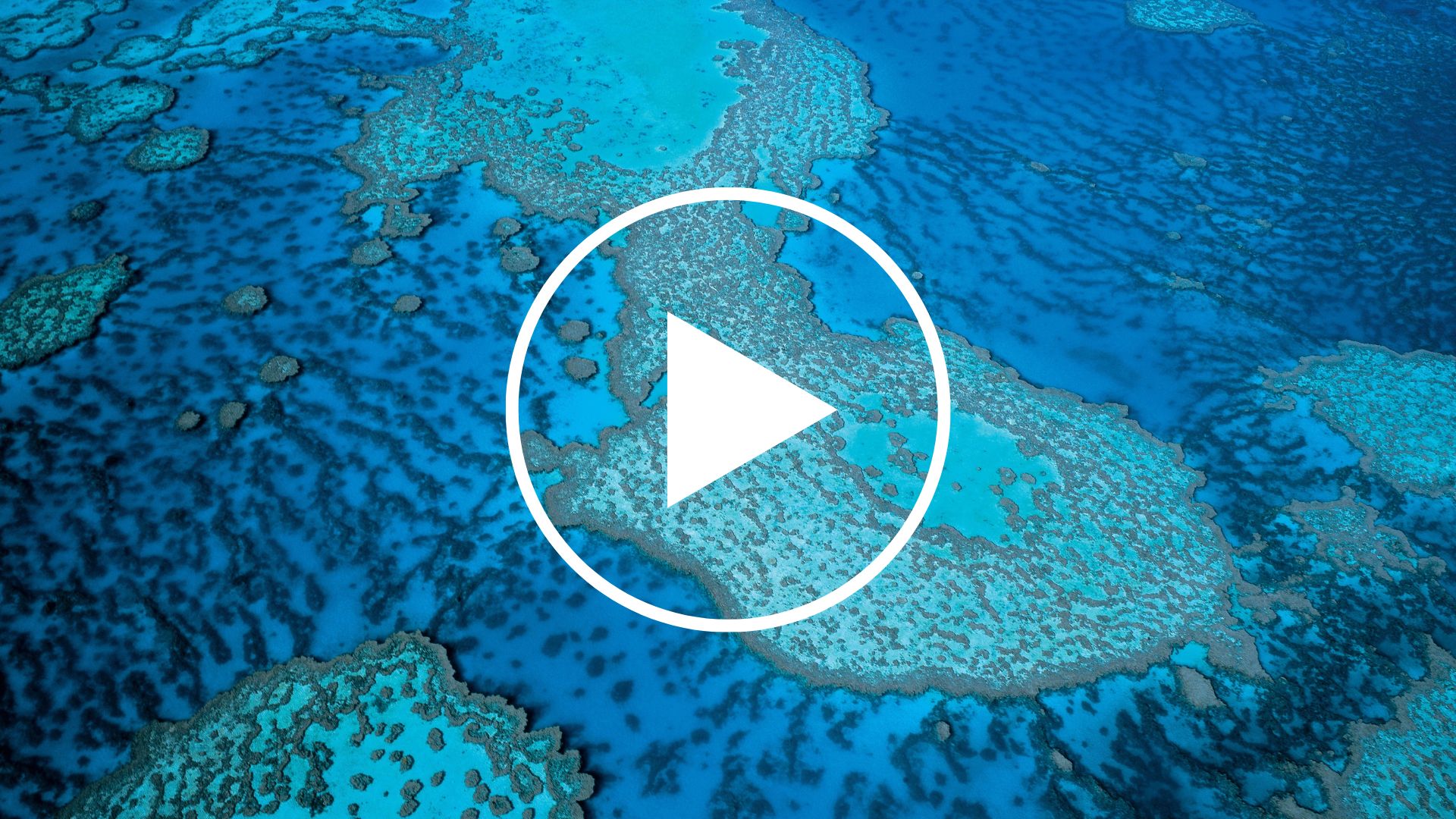 Home - Reef Restoration and Adaptation Program